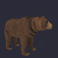 Add Free Animated Animal Stickers and Animated PNG | LightX
