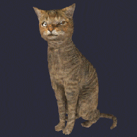 Add Free Animated Animal Stickers and Animated PNG | LightX