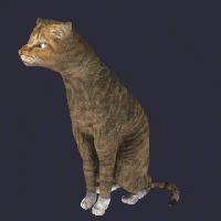 Add Free Animated Animal Stickers and Animated PNG | LightX