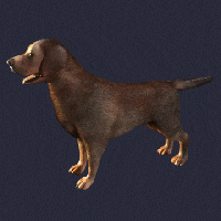 Add Free Animated Animal Stickers and Animated PNG | LightX