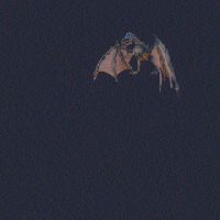 Add Free Animated Animal Stickers and Animated PNG | LightX