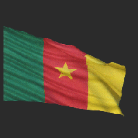 Add Animated Country Flags Stickers & Animated PNG | LightX