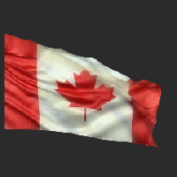 Add Animated Country Flags Stickers & Animated PNG | LightX