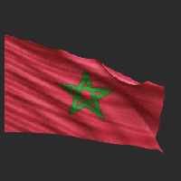 Add Animated Country Flags Stickers & Animated PNG | LightX