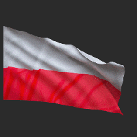 Add Animated Country Flags Stickers & Animated PNG | LightX