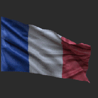 Add Animated Country Flags Stickers & Animated PNG | LightX