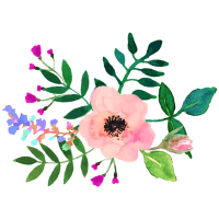 Add Free Floral Stickers PNG and Cliparts | LightX